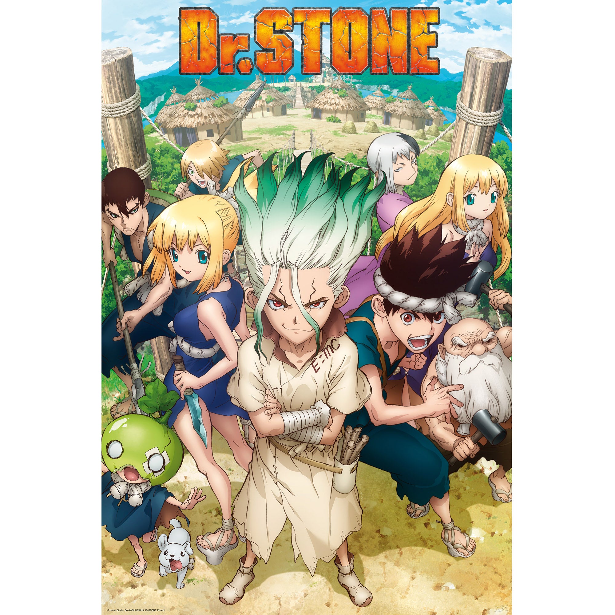 Dr. Stone Group 61 x 91.5cm (24 x 36 inches) Maxi Poster | GB eye – GB ...